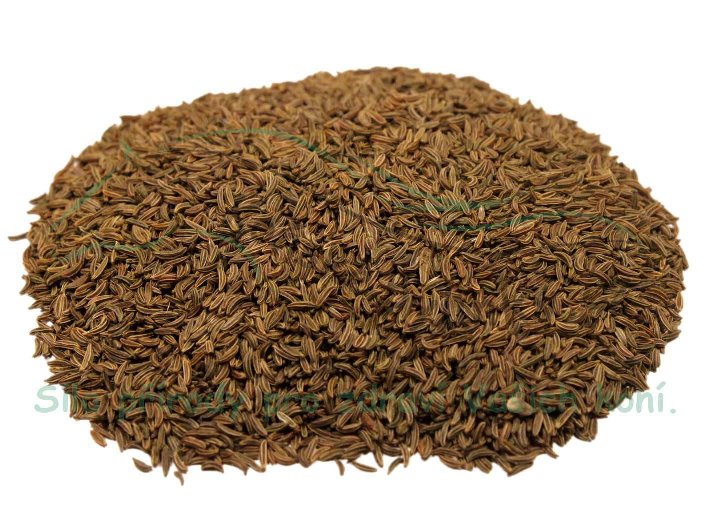 Kmín kořenný plod - celý 1kg | Bylinky, krmiva pro koně